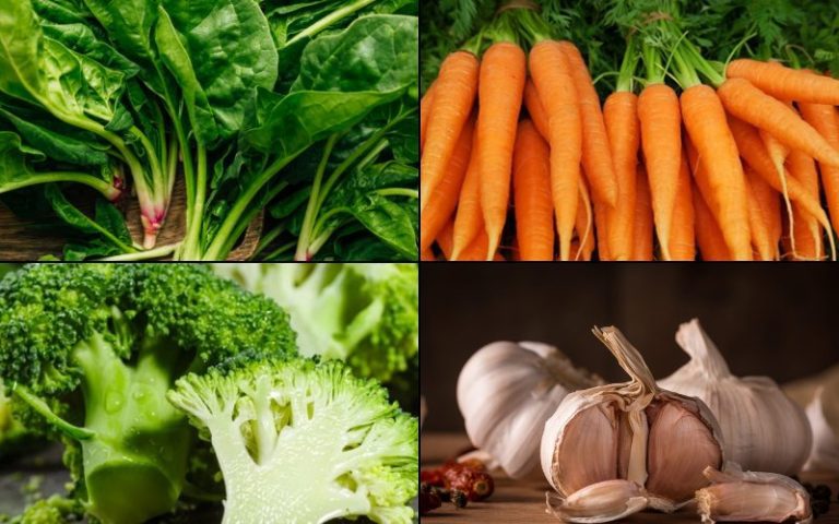 The best types of vegetables you usually eat daily