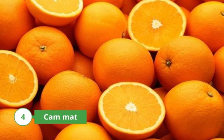 Popular Types of Delicious Oranges on the Market