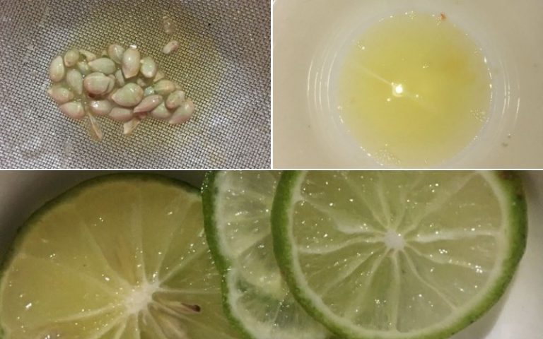 How to Make Delicious Sweet and Sour Lemon Tea