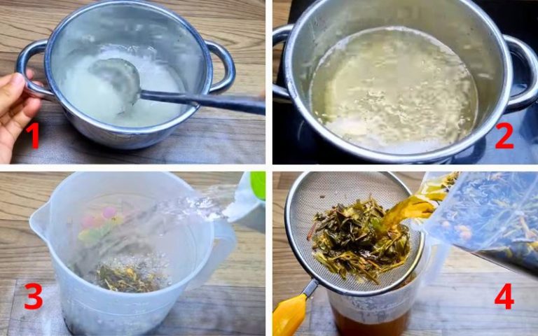 Guide: How to Make Soursop Tea at Home Easily
