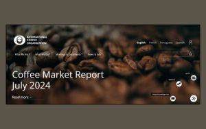 How much is coffee today? Detailed price list by region