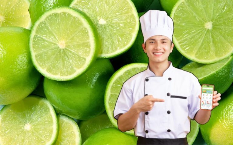 Latest news on today's lime prices, continuously updated