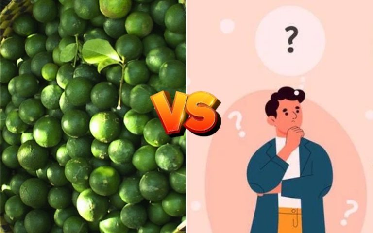 Latest news on today's lime prices, continuously updated