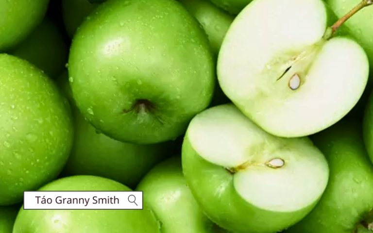 Tổng hợp 30+ các loại táo ngon nhất hiện nay