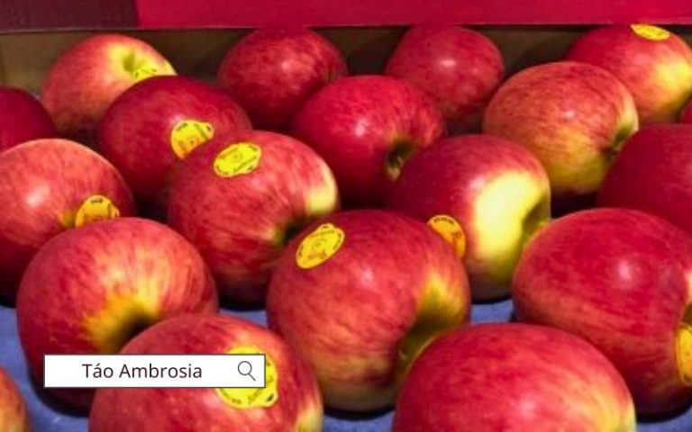 Tổng hợp 30+ các loại táo ngon nhất hiện nay