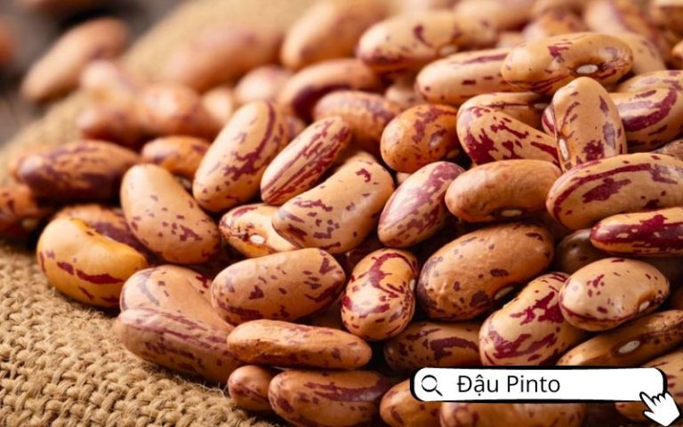 10+ các loại đậu tốt cho sức khỏe nhất mà bạn có thể ăn