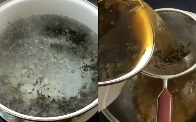 How to Make Delicious, Simple Kumquat Tea for Selling