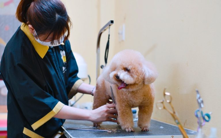 How to build an effective Tet business strategy in 2025