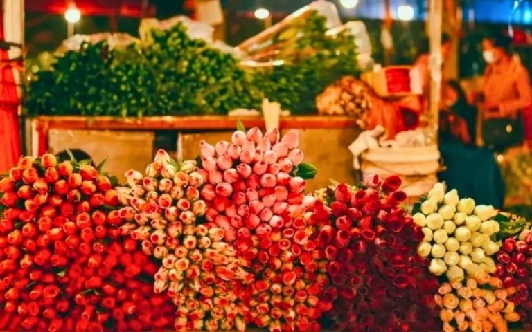 100+ Beautiful Tết Images for Backgrounds and Designs