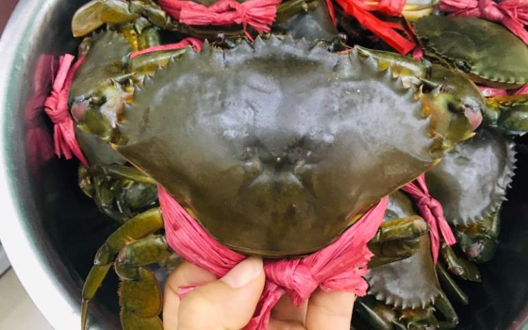 Giá cua Cà Mau bao nhiêu? Bảng giá cua thịt, cua gạch Cà Mau mới nhất