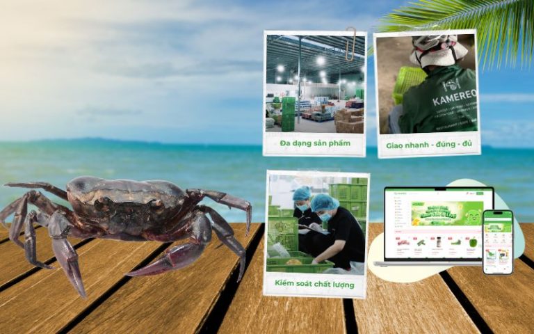 Giá cua Cà Mau bao nhiêu? Bảng giá cua thịt, cua gạch Cà Mau mới nhất