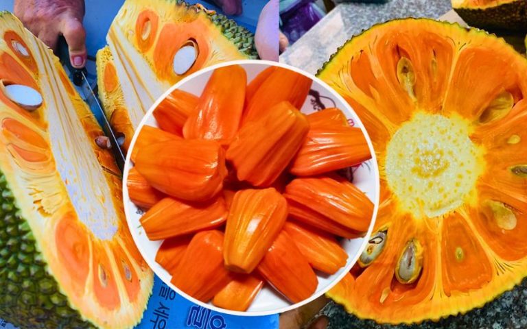 Mít ruột đỏ giá bao nhiêu 1kg? Giá mít ruột đỏ hôm nay