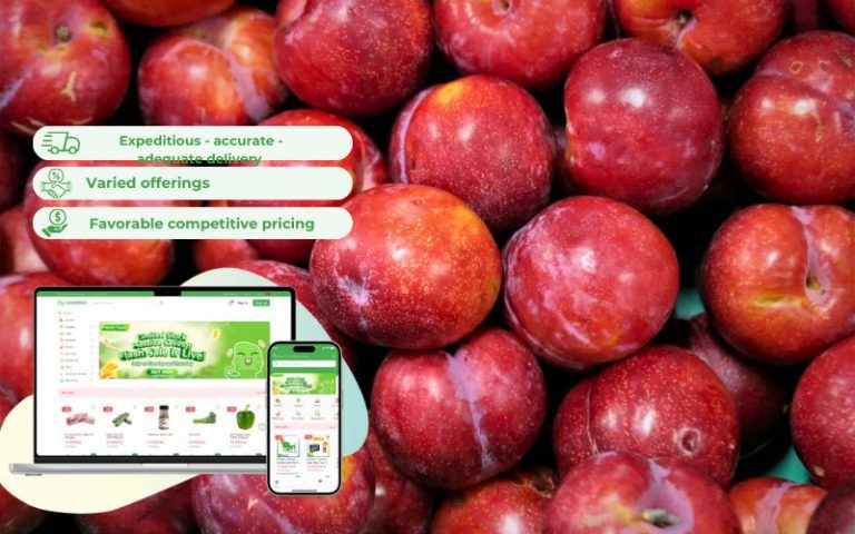 How Much Are Plums Per Kilogram? Today's Plum Prices