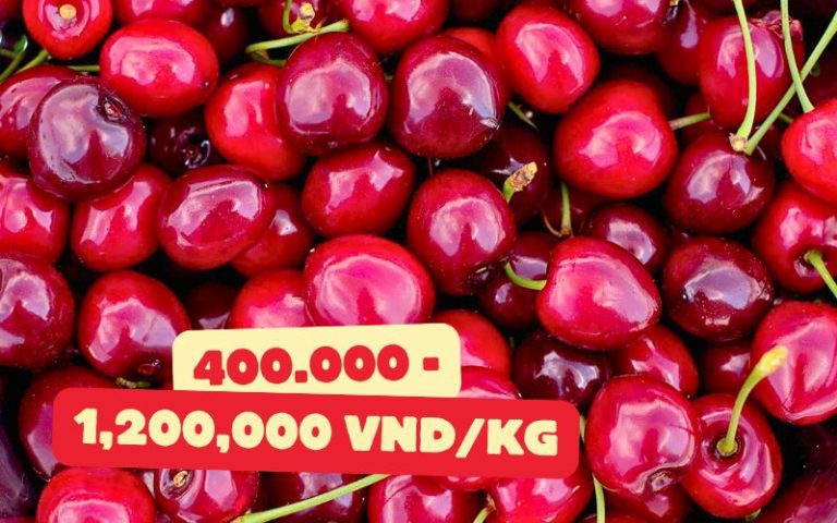 How Much is Cherry Per Kg? Updated Price Chart