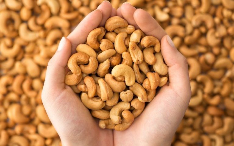 Giá hạt điều hôm nay cập nhật mới và đầy đủ nhất