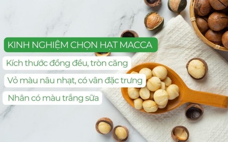 Giá hạt macca tươi, khô hôm nay bao nhiêu 1kg?
