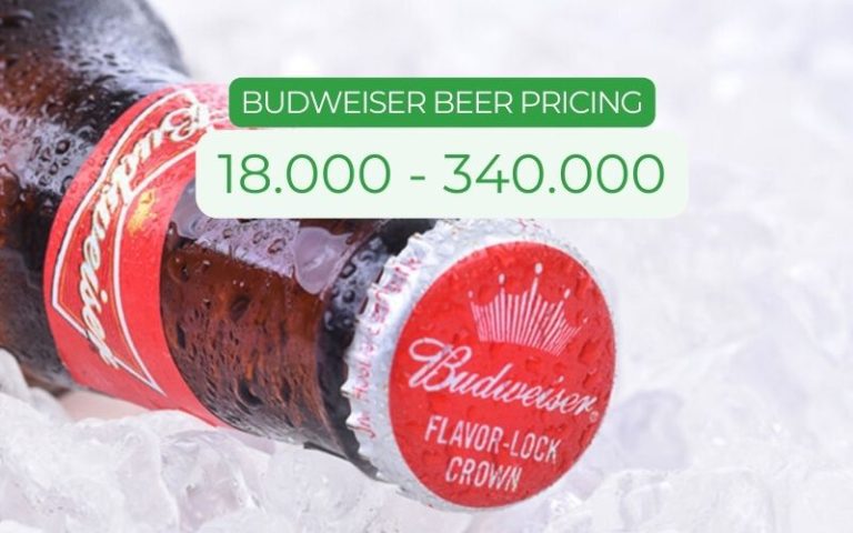 Budweiser Beer Prices: Latest and Detailed Updates | KAMEREO