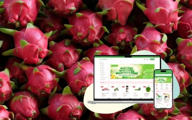 How much is dragon fruit per kg today? Update on the latest prices of ...