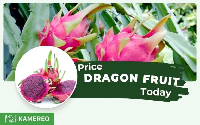How much is dragon fruit per kg today? Update on the latest prices of ...