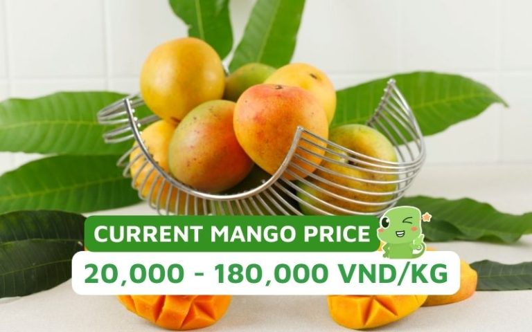 How much is mango per kg today? Update on the latest prices of all ...