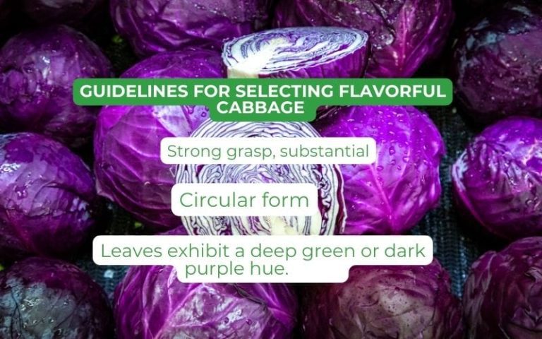 How much is cabbage price today per kg? Latest green, purple, and white ...