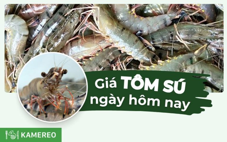 Tôm sú bao nhiêu 1kg? Bảng giá tôm sú hôm nay