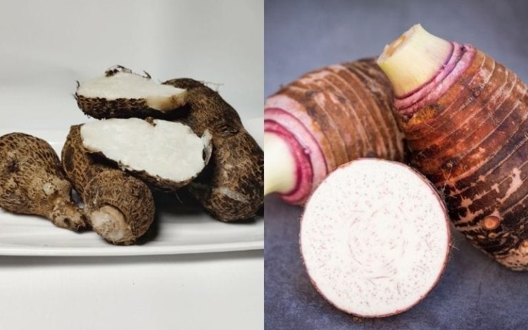 How much is taro price today per kg? Latest updated purple, white, and ...