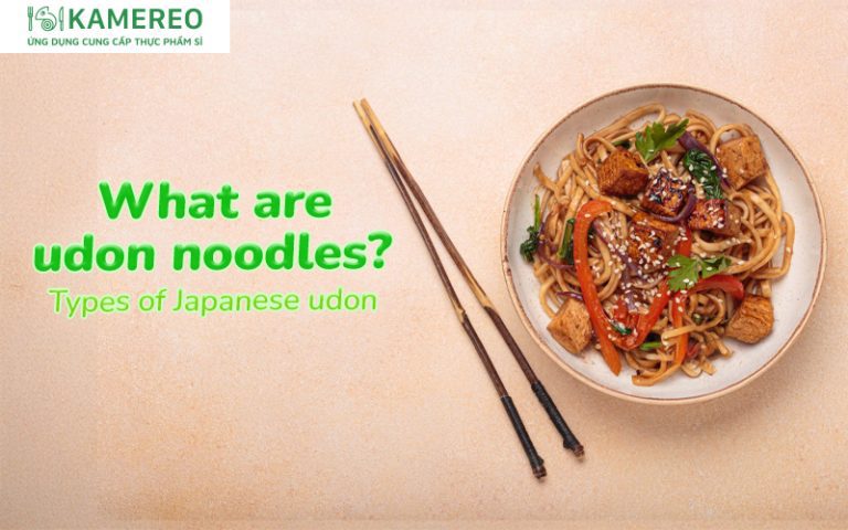 Udon Noodles: Characteristics, Origins, and Popular Types of Japanese Udon