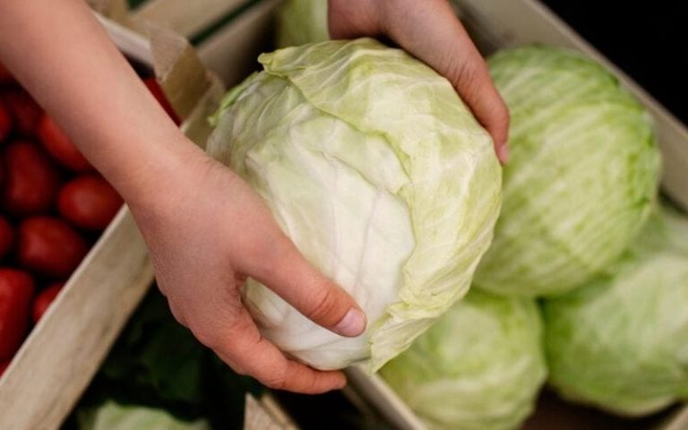 Cách làm cơm thịt heo chiên xù Tonkatsu Nhật Bản thơm ngon