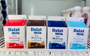 Is Dalat Milk Good? Who Should Drink It? | KAMEREO