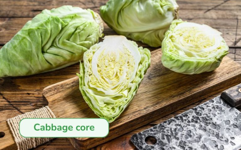 Popular Cabbage Varieties and Delicious Cabbage Dishes | KAMEREO