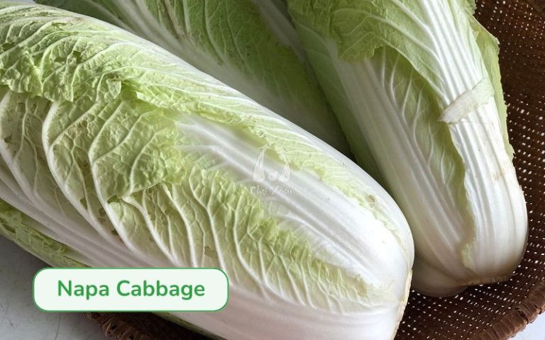 Popular Cabbage Varieties and Delicious Cabbage Dishes | KAMEREO