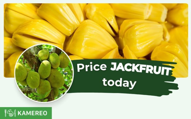 How much is 1kg of jackfruit? Today's jackfruit price