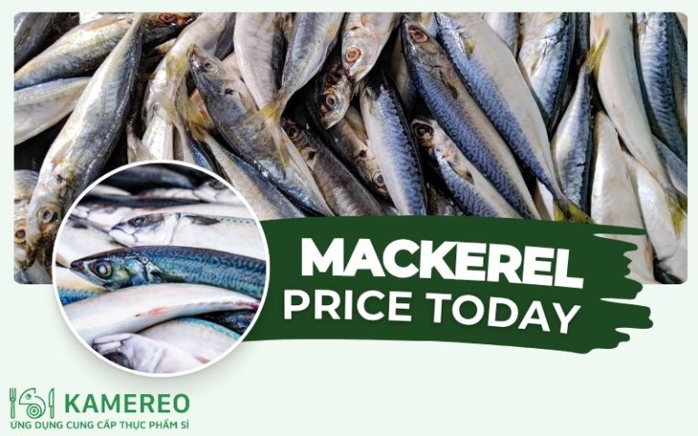 How Much Is Mackerel per Kilogram? Latest Mackerel Prices