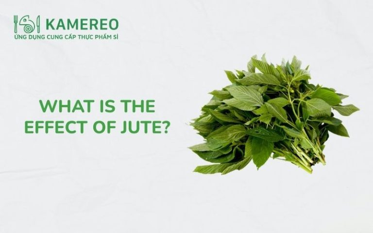 What is Tet? The Origin and Meaning of Vietnamese